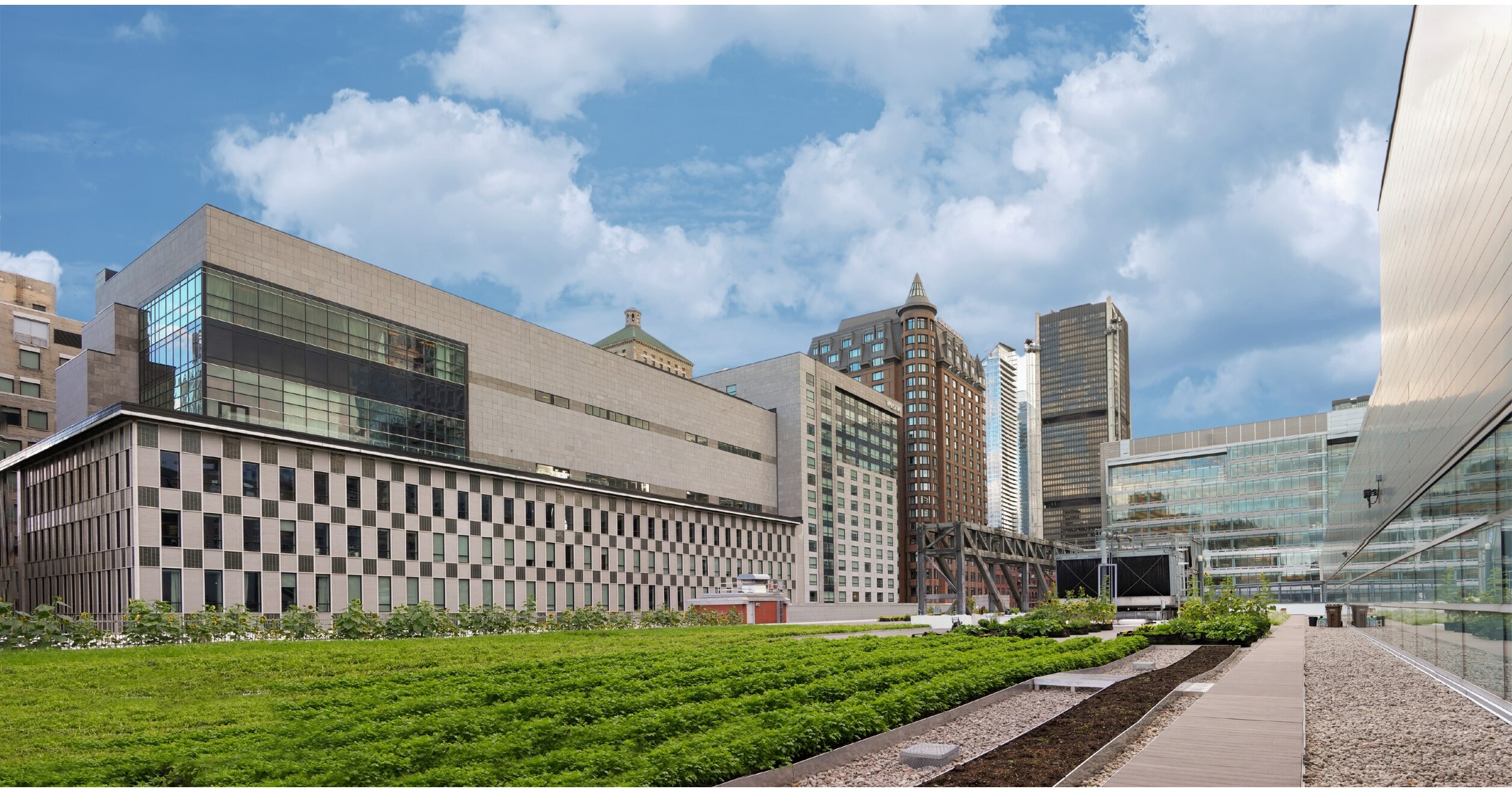The Palais des congrès de Montréal expands its green roof in a renewed effort to support urban ...